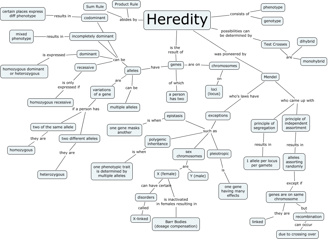 heredity