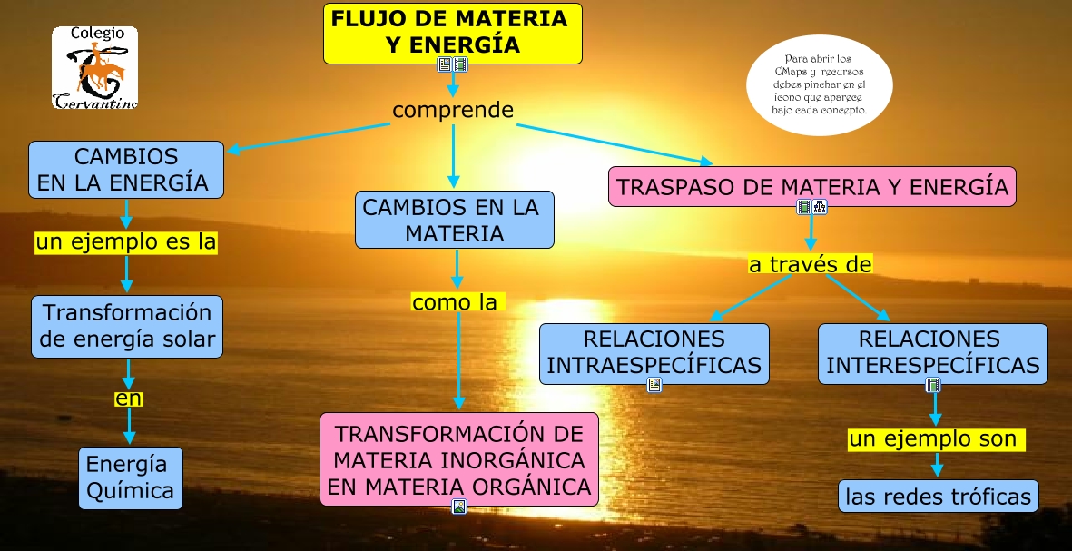 FLUJO DE MATERIA Y ENERGÍA