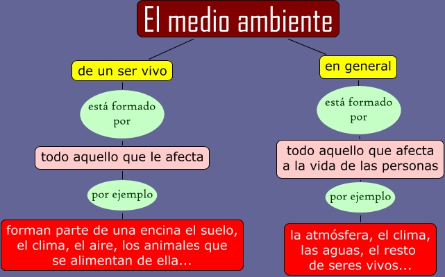 La Ecologia y la importancia del medio ambiente : Diagramas del medio ...