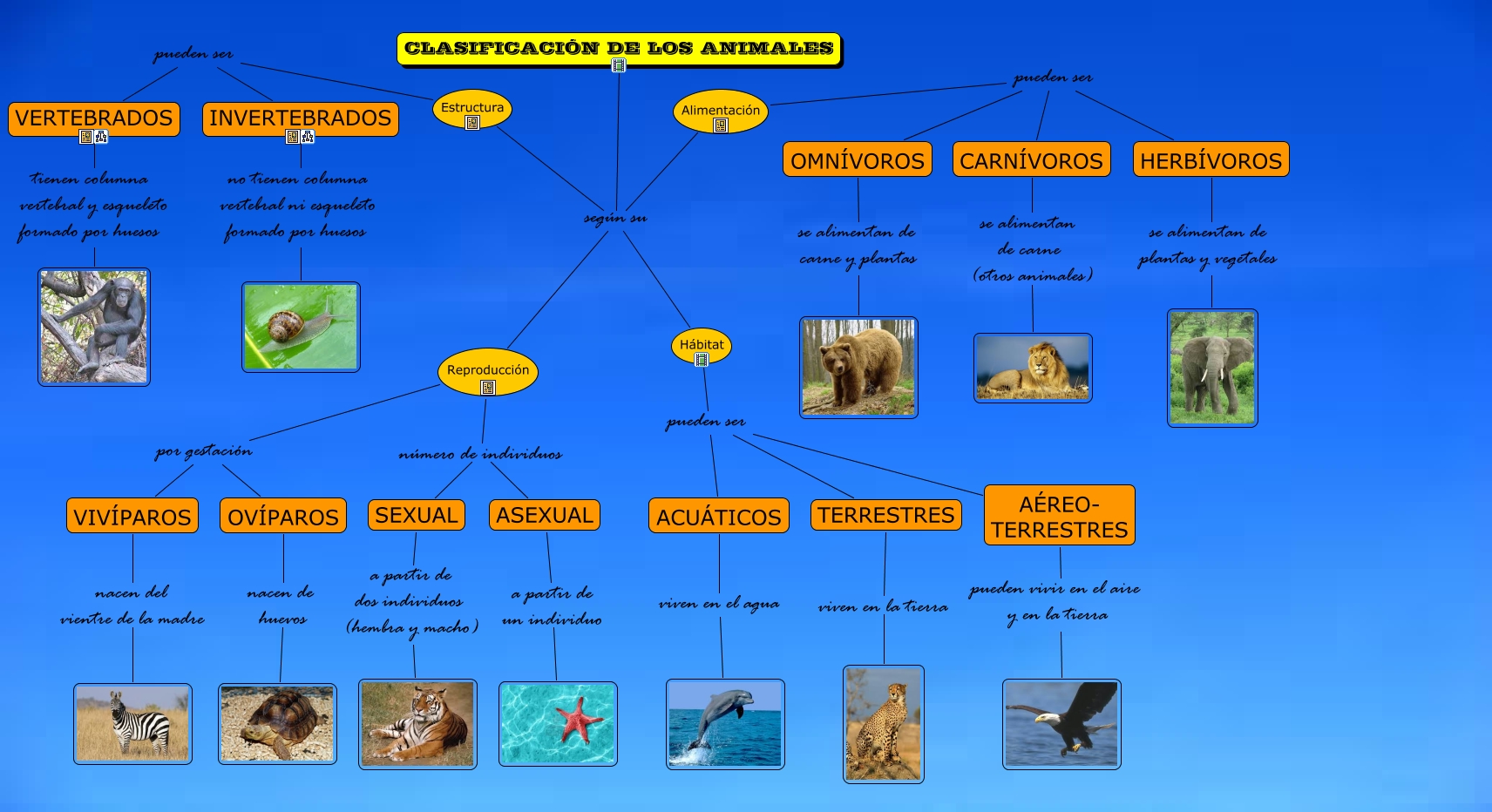 Clasificación de los animales