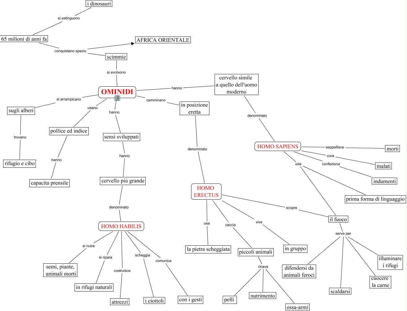 Gli ominidi - Qual è l'evoluzione degli ominidi nel Paleolitico?