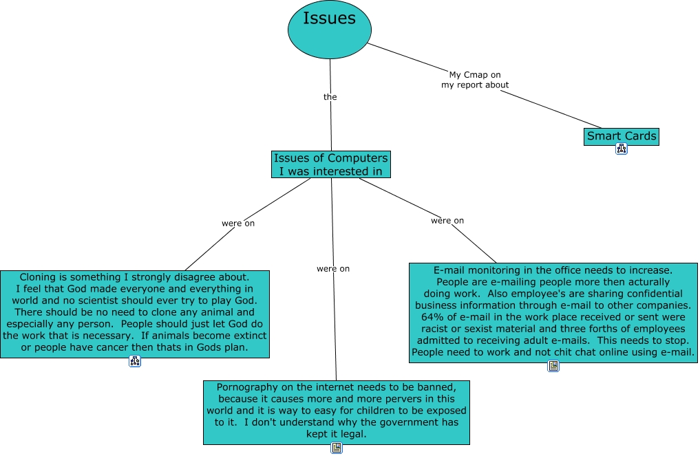 Issues Summary
