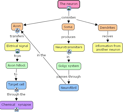 IHMC CmapTools - Concept Map :: Nueron