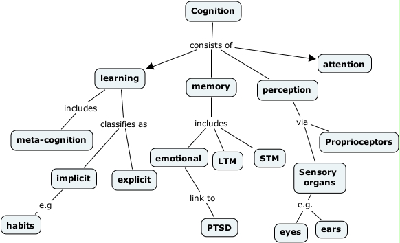 Cognition JDN revision