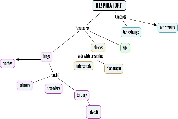Respiratory