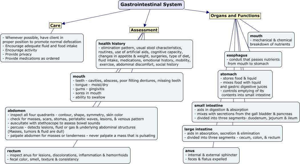 nurs172_gastrointestinal_system