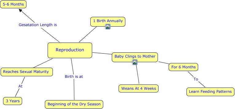 Reproduction