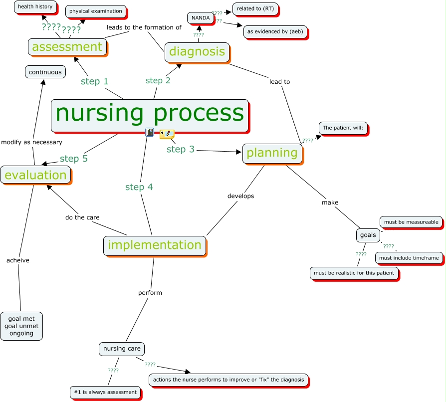 nursing process n20020