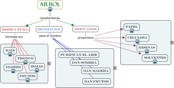 mapa de arbol