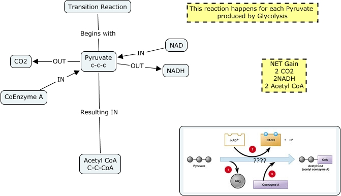 Transition Reaction