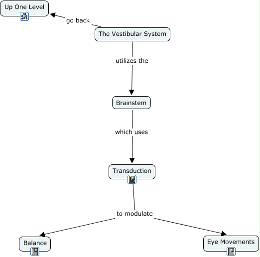 Vestibular System Group CMap