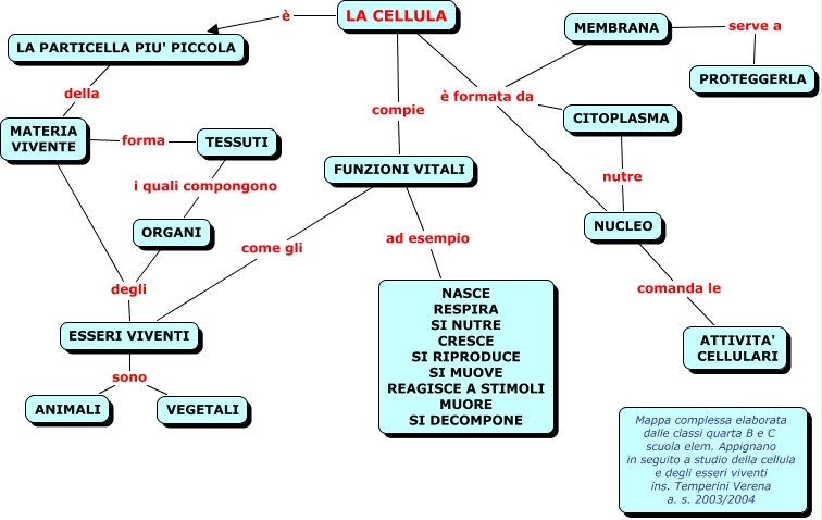 La cellula - Mappa complessa