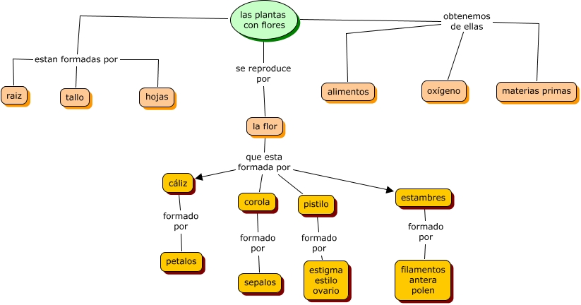 mapa conceptual plantas