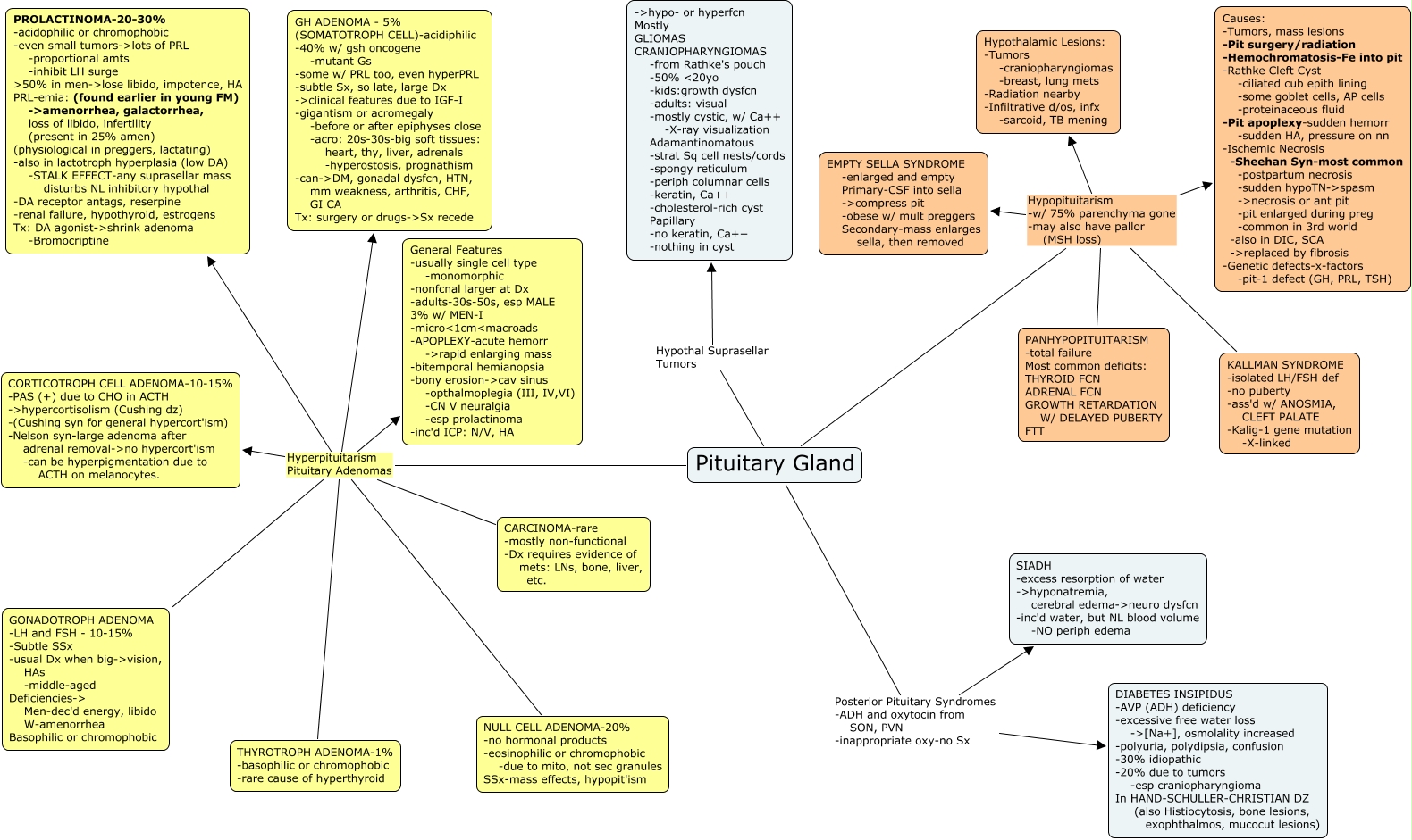 Pituitary Hormone Flowchart