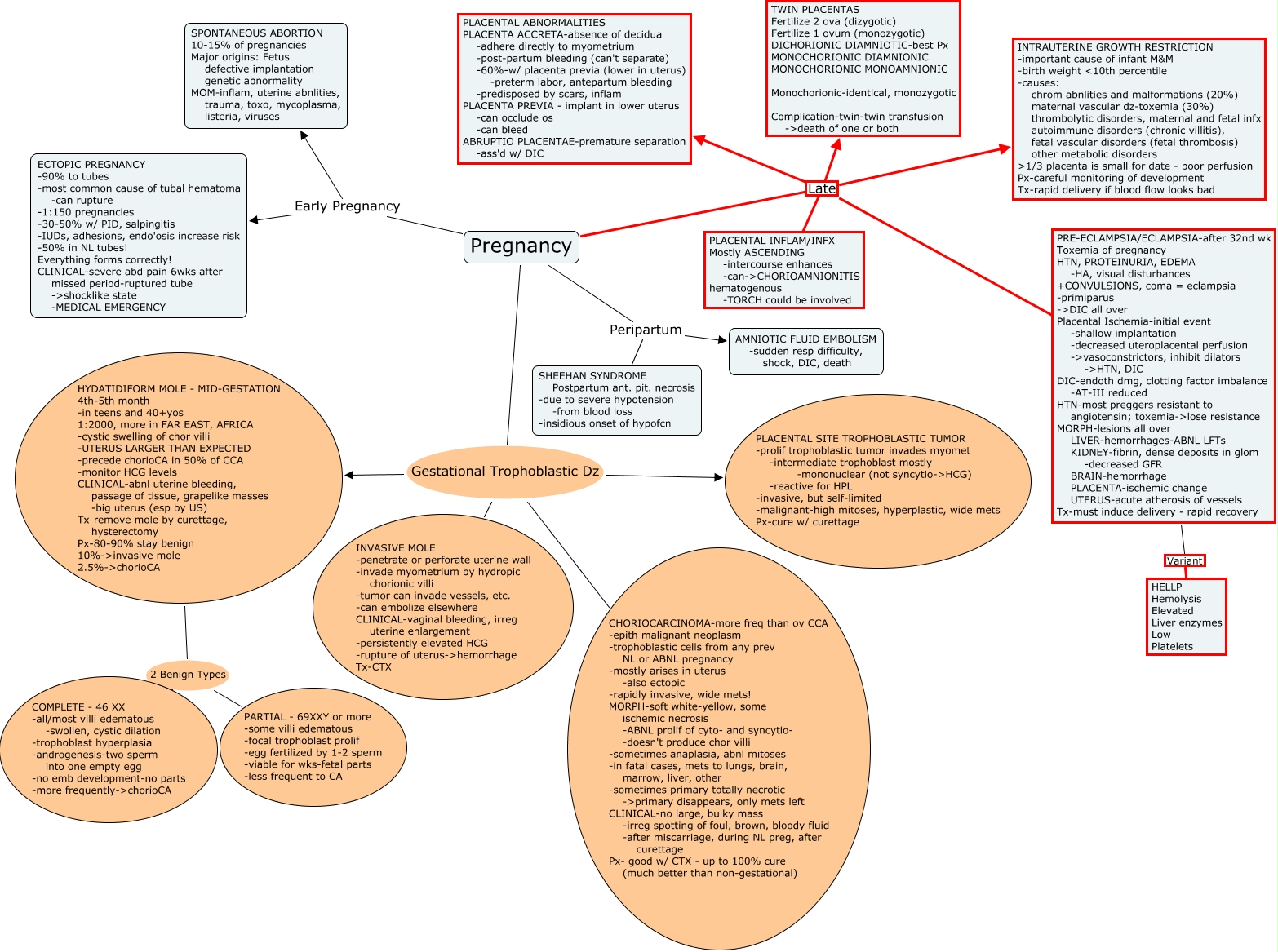 Postpartum Hemorrhage Concept Map