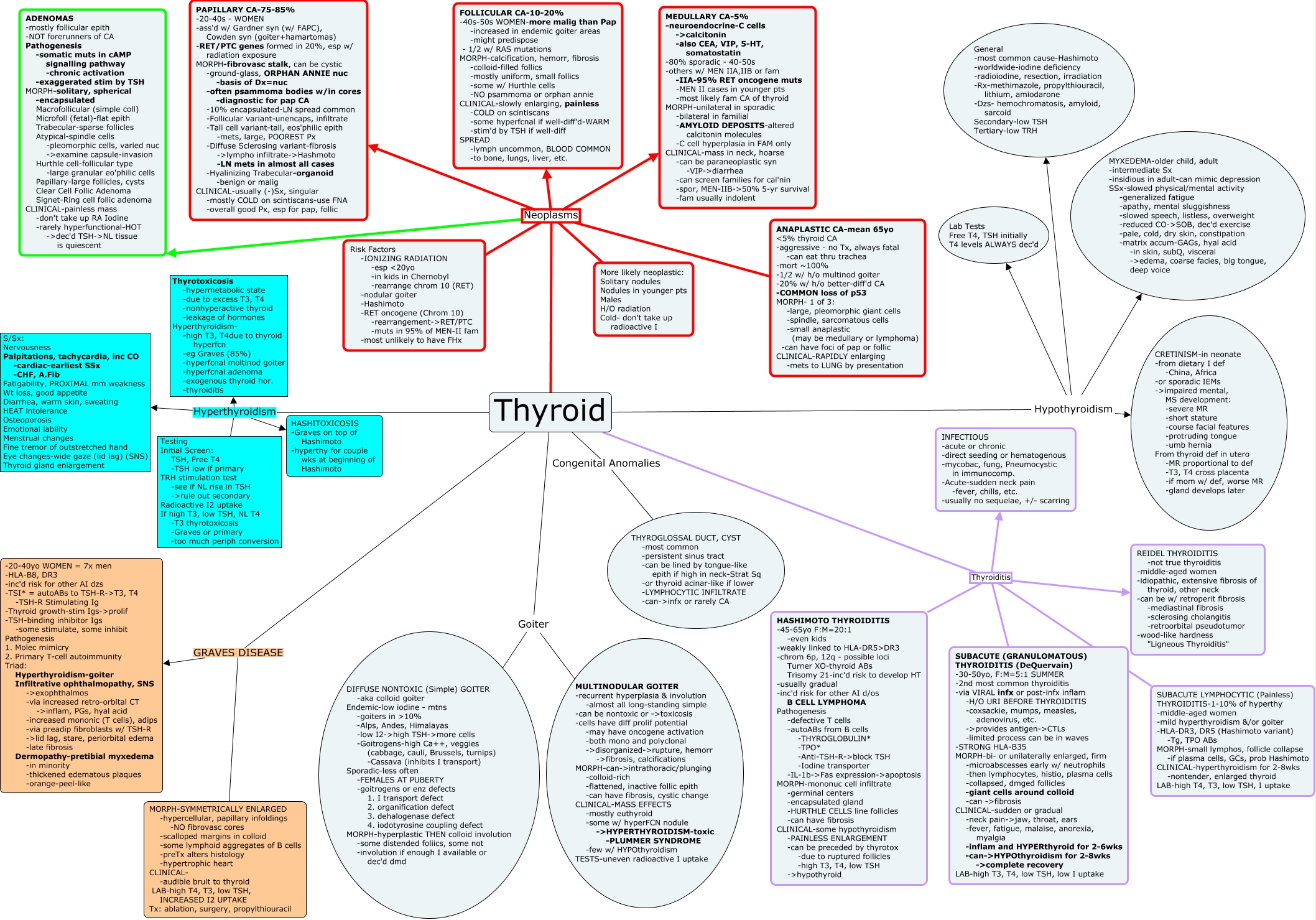 Thyroid