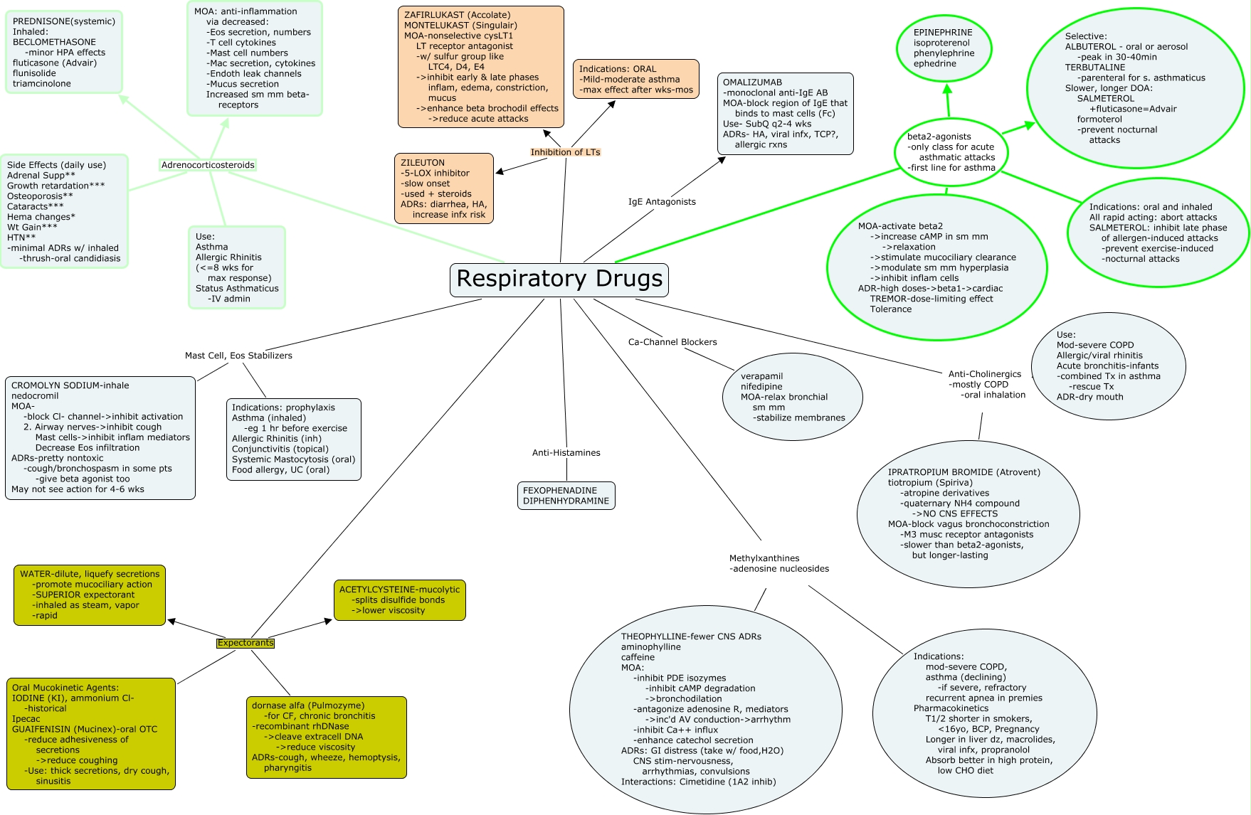 Respiratory Drugs