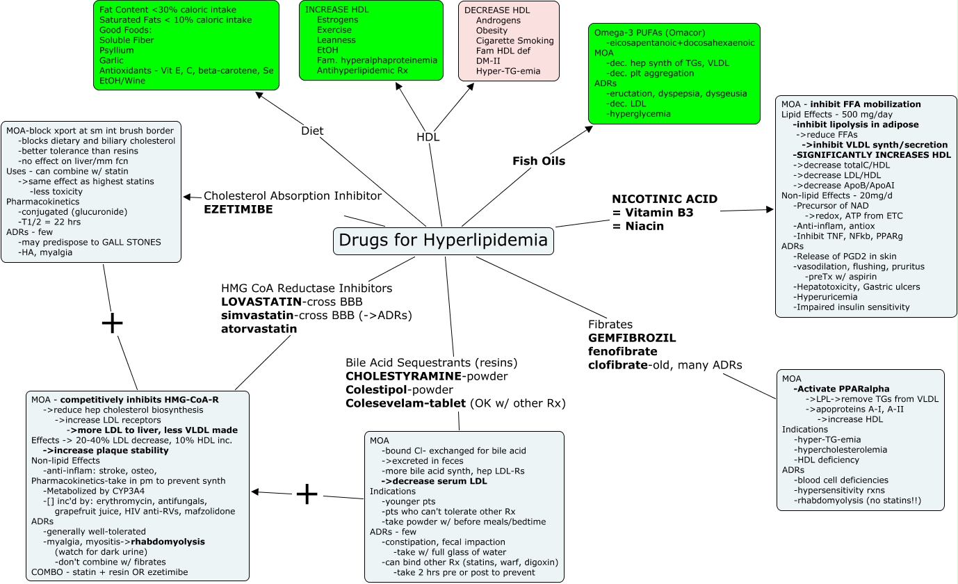 Hyperlipidemia