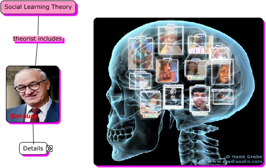 social learning theory