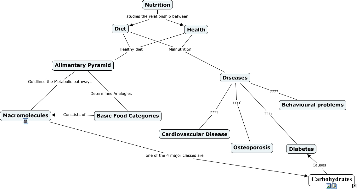 Nutrition - What the human body cansists of?