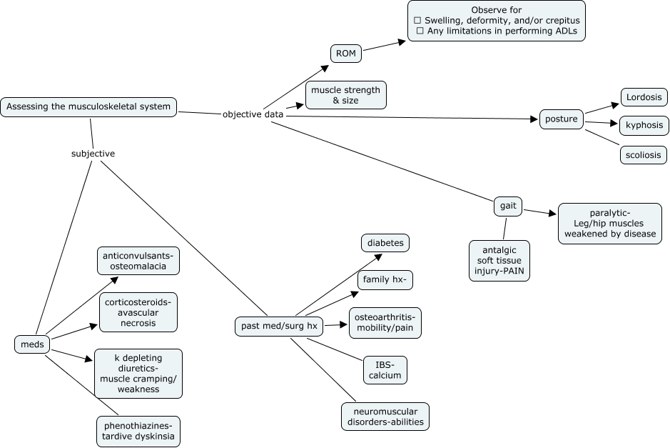 assessing the musculoskeletal system