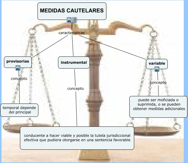 cautelar - ¿cuales son las caracterrísticas de las medidas cautelares?