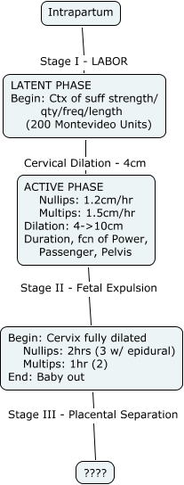 Intrapartum