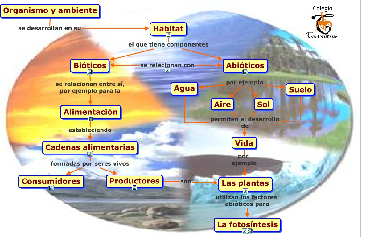 unidad 3 Organismos y ambiente
