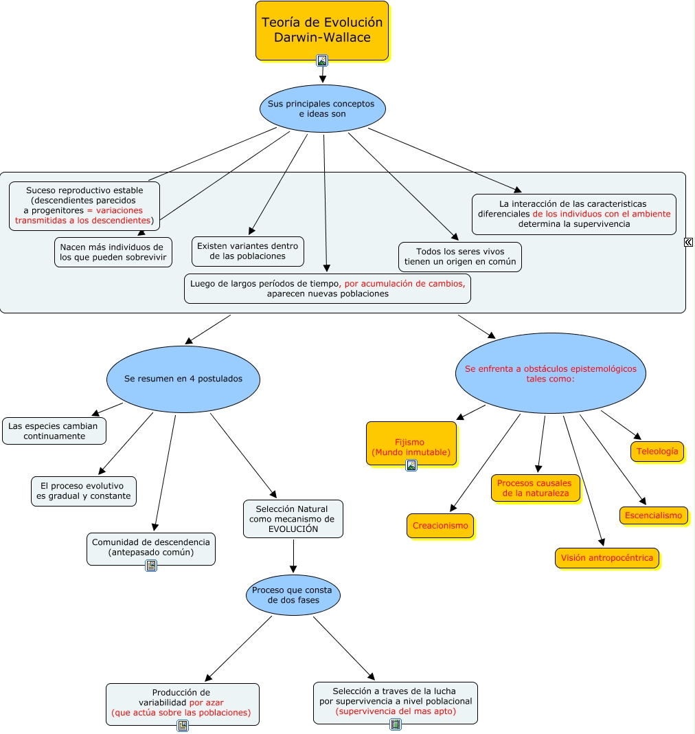 Evolucion Darwin-Wallace