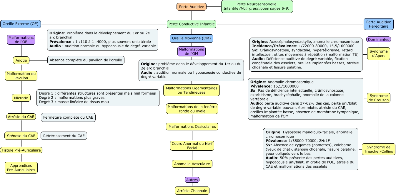 Perte Conductive - Infantile