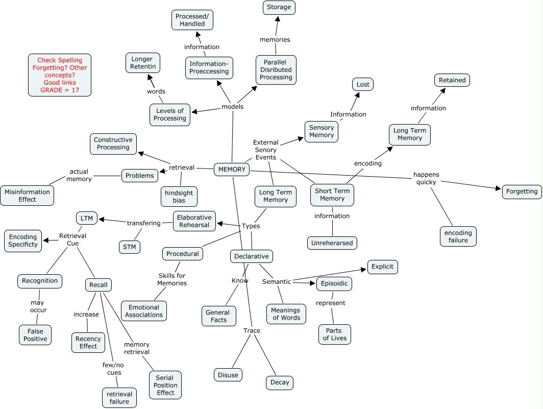 Memory-Ashley Rawlinson - What is involved with memory?