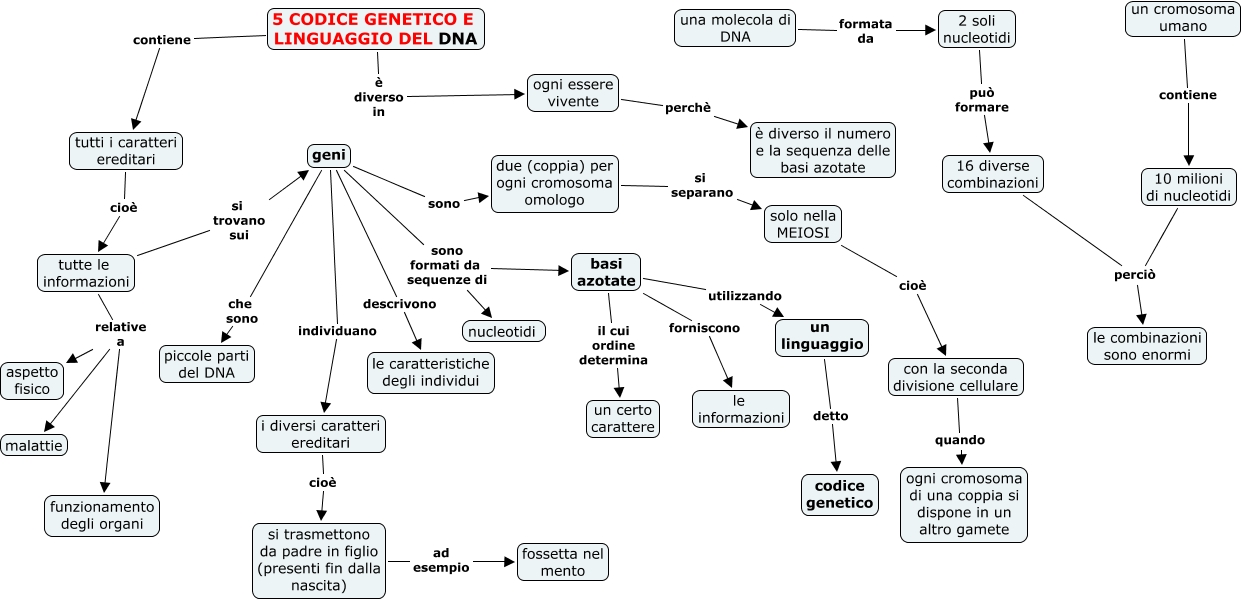 5 CODICE GENETICO E LINGUAGGIO DEL DNA - Mappa Concettuale