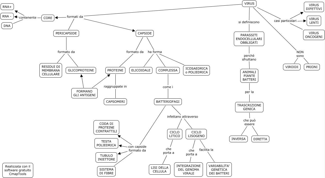 Virus - Mappa Concettuale