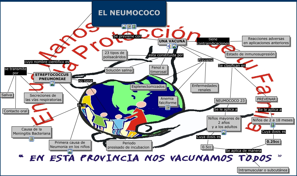 neumococo