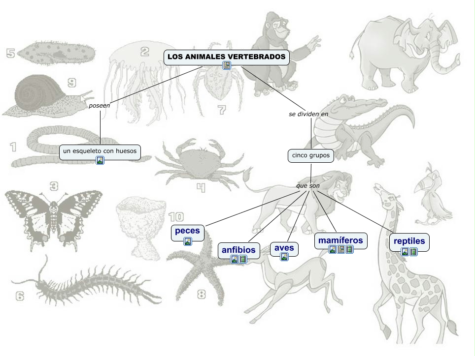 Los animales vertebrados