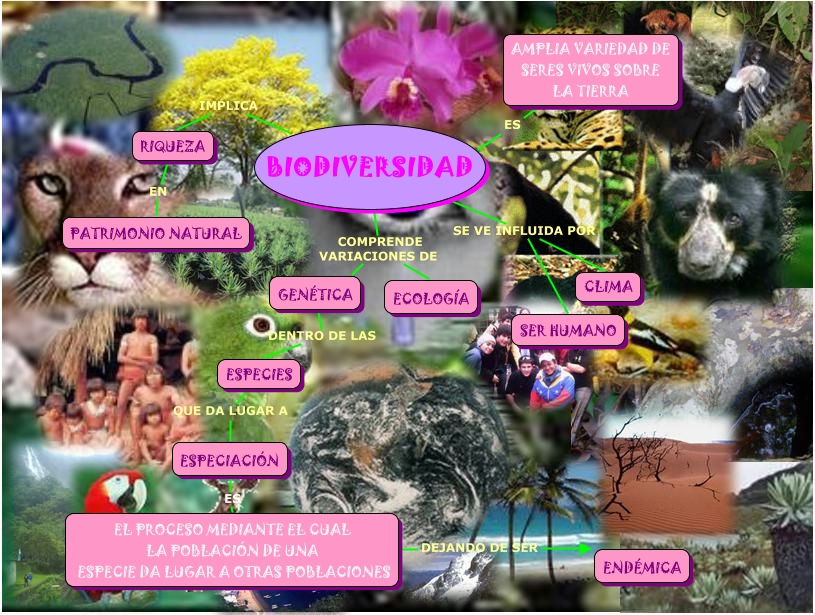 BIODIVERSIDAD