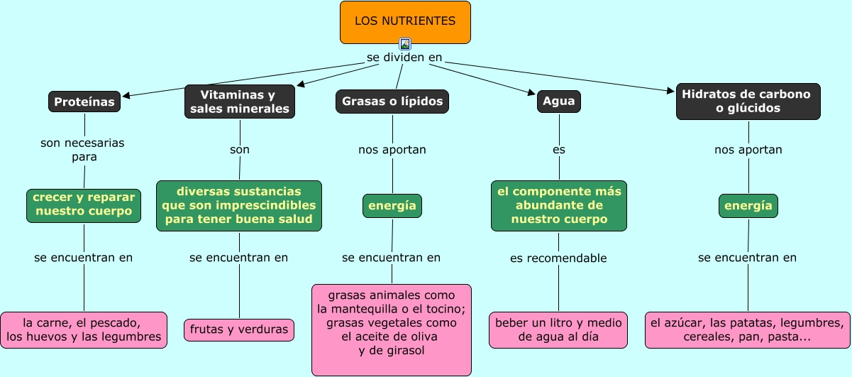 Los nutrientes