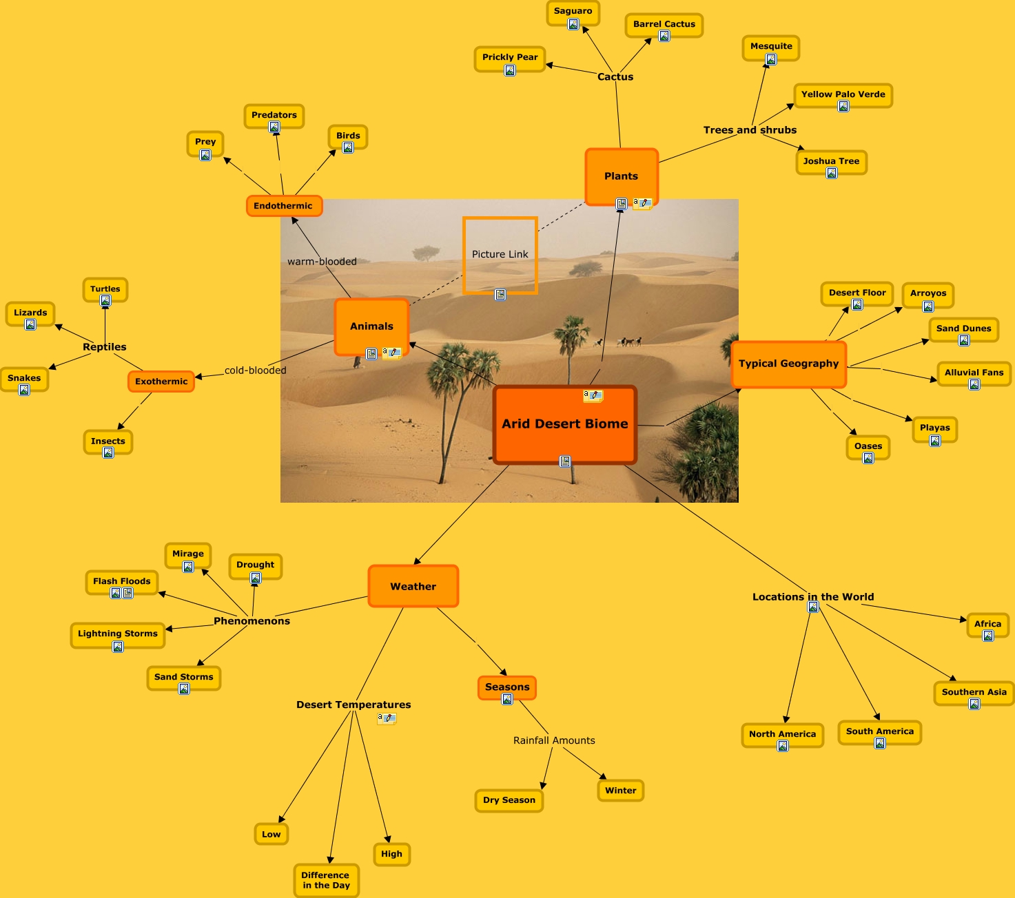 Warm Desert Biomes - What makes up the desert biome?