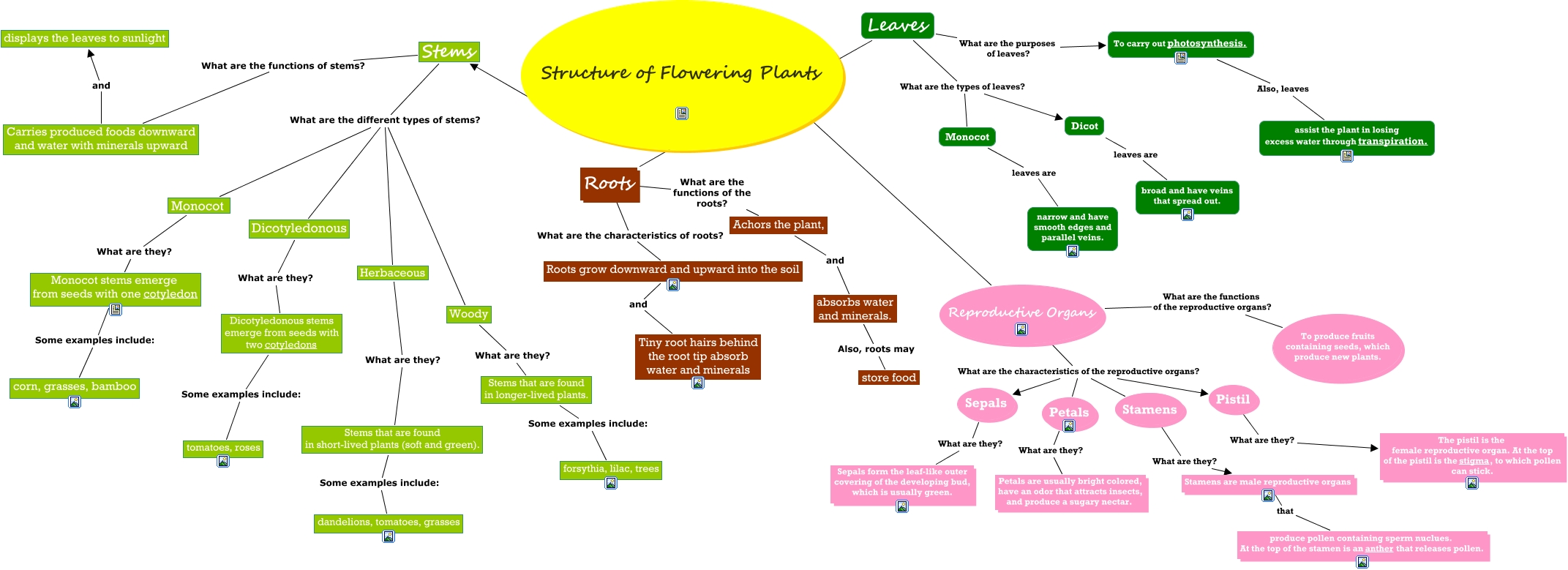 Structure Of Flowering Plants Sexual Reproduction In Flowering Plants