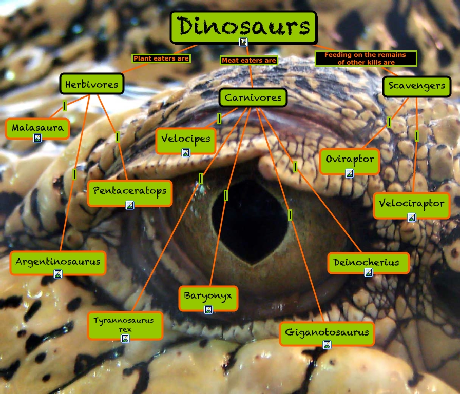 Dinosaur Cmap