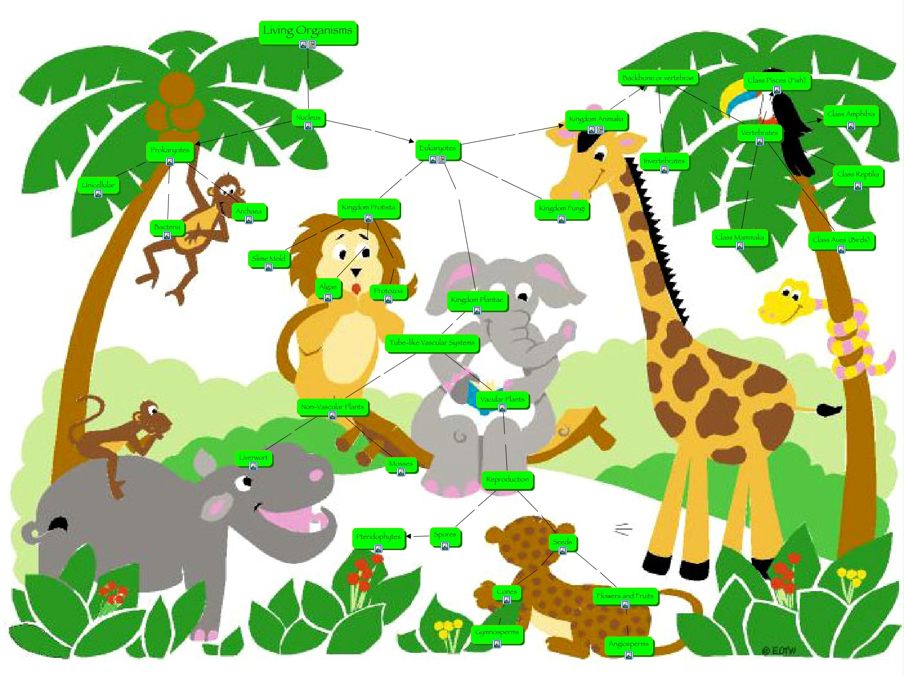 Classifying Living Organisms