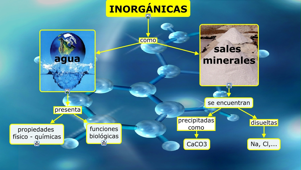 MOLÉCULAS INORGÁNICAS - BIOMOLÉCULAS
