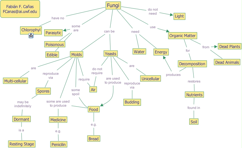 IHMC CmapTools - Concept Map :: Fungi