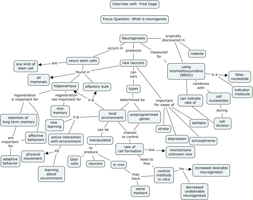 Cell Division Concept Map