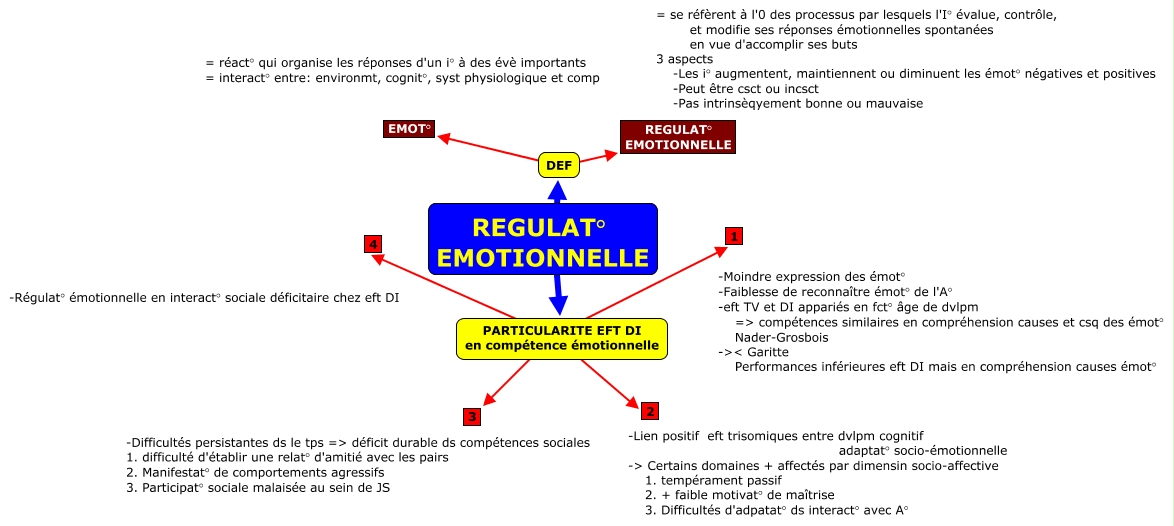 1 Régulation émotionnelle