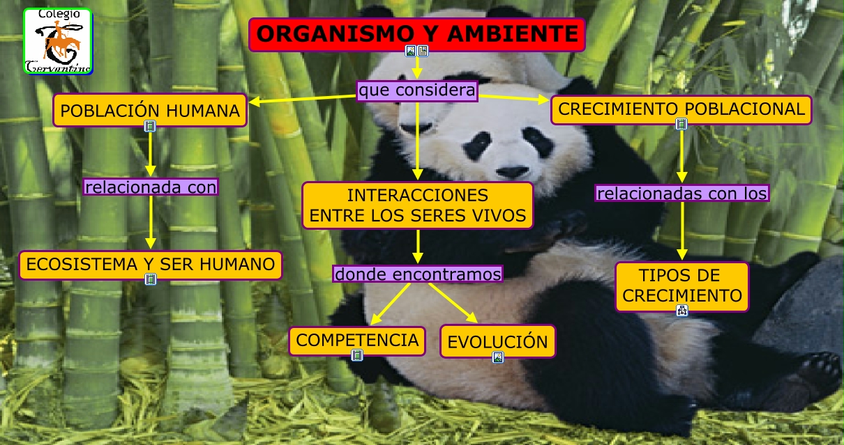 ORGANISMO Y AMBIENTE