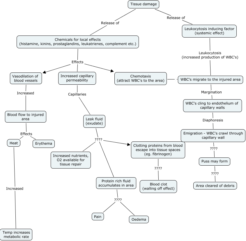 Inflammation
