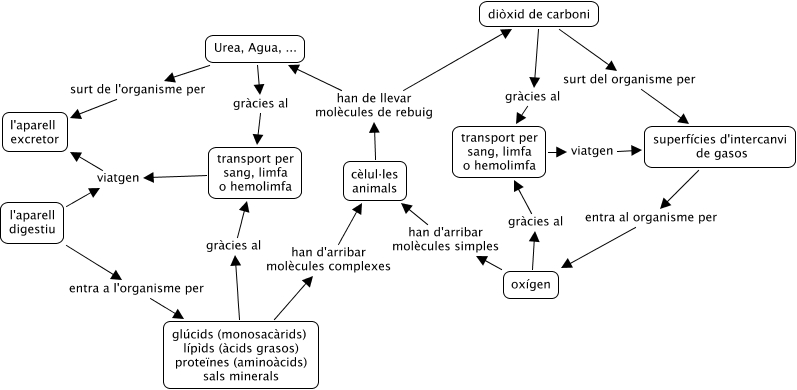 relacionutriciocel·lulaambpluricel·lular