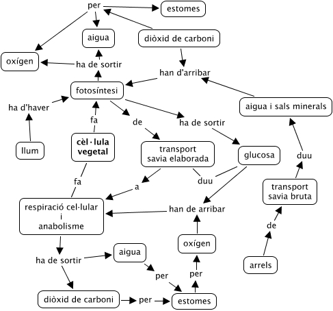 vegetalsnutriciopluricel·lular