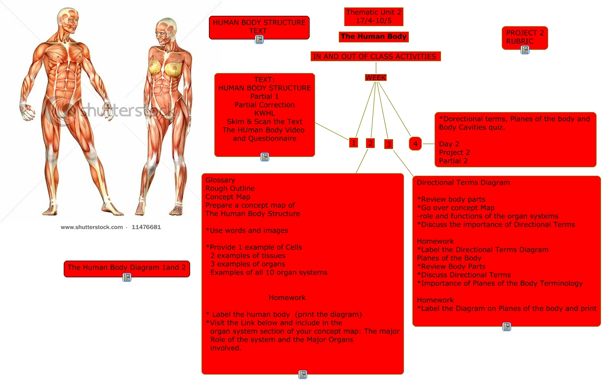 Thematic unit 2